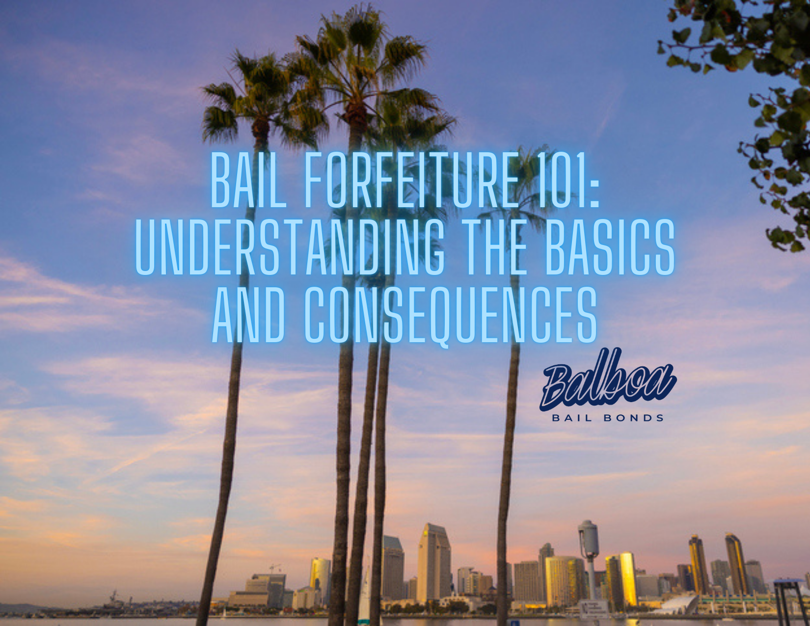 Bail Forfeiture 101: Understanding the Basics and Consequences | San ...